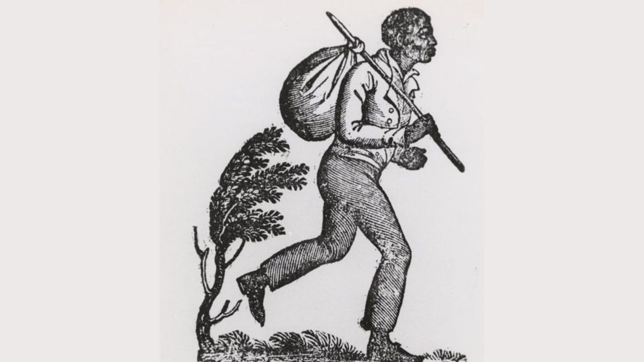 Study Spot: Transatlantic Slave Trade - Harewood House